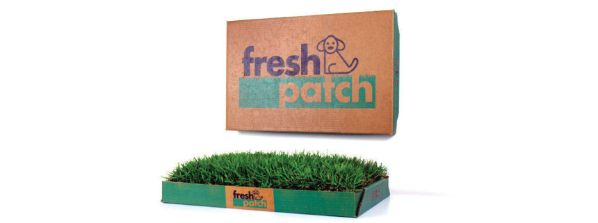 Fresh Patch | Customer Story