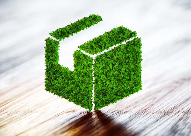 3 Ways Your Business Can Try Green Shipping with Eco-Friendly Packaging